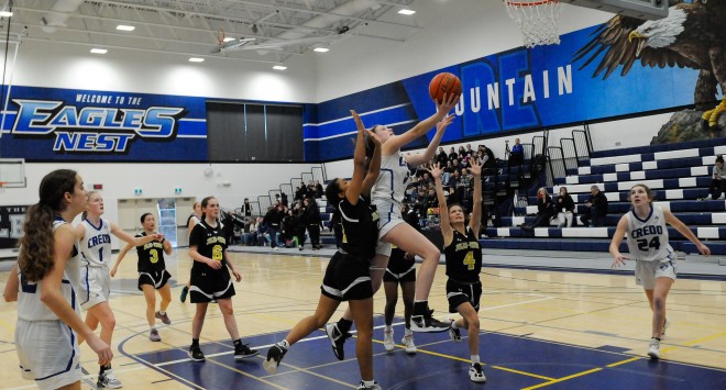 BC High School Basketball Championships - 2024 BC Secondary School ...